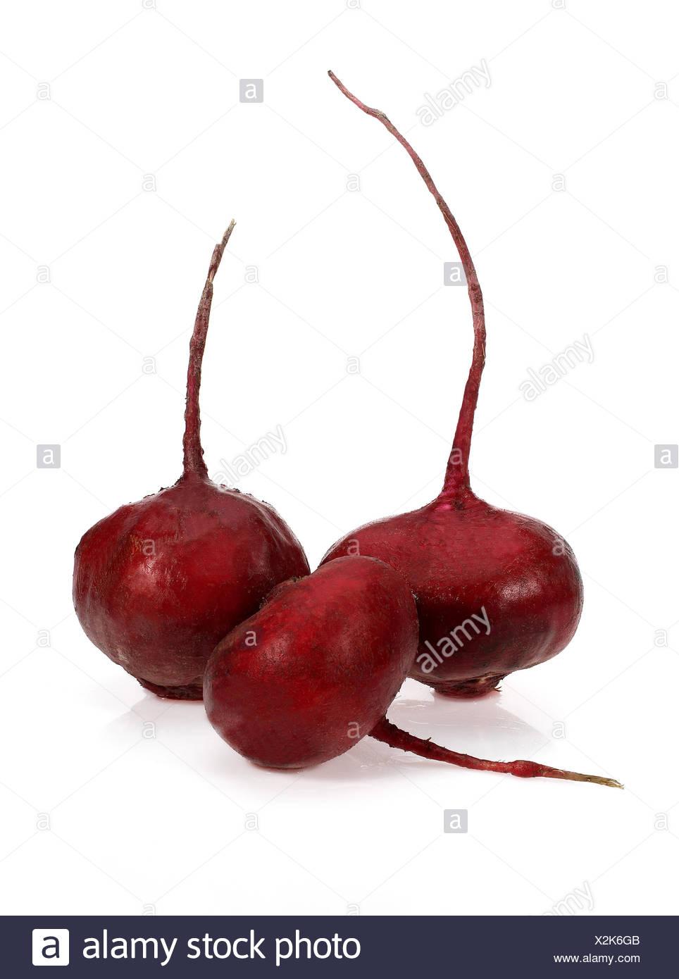 Vulgaris Rubra High Resolution Stock Photography and Images - Alamy