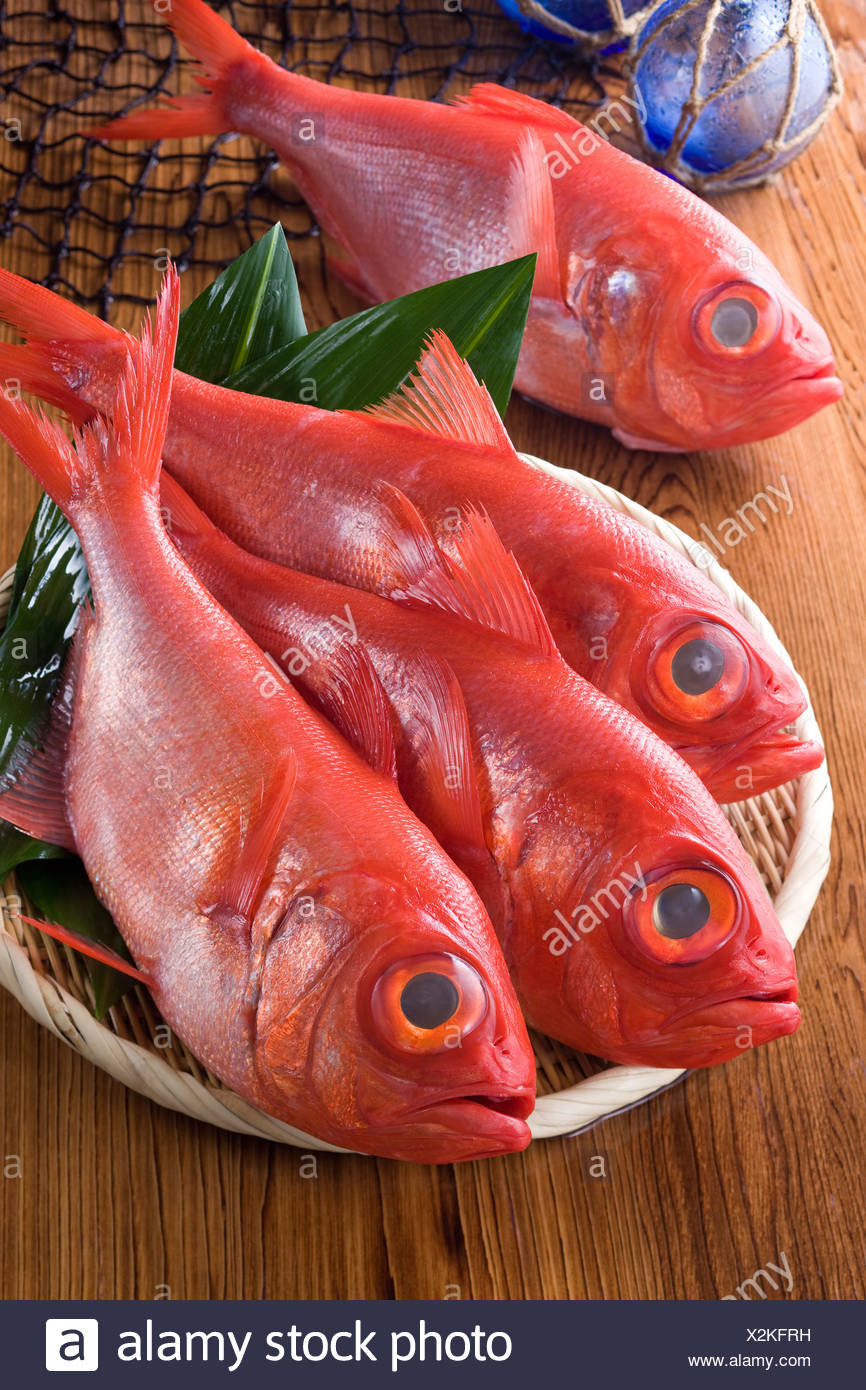 Alfonsino Fish Stock Photos & Alfonsino Fish Stock Images - Alamy