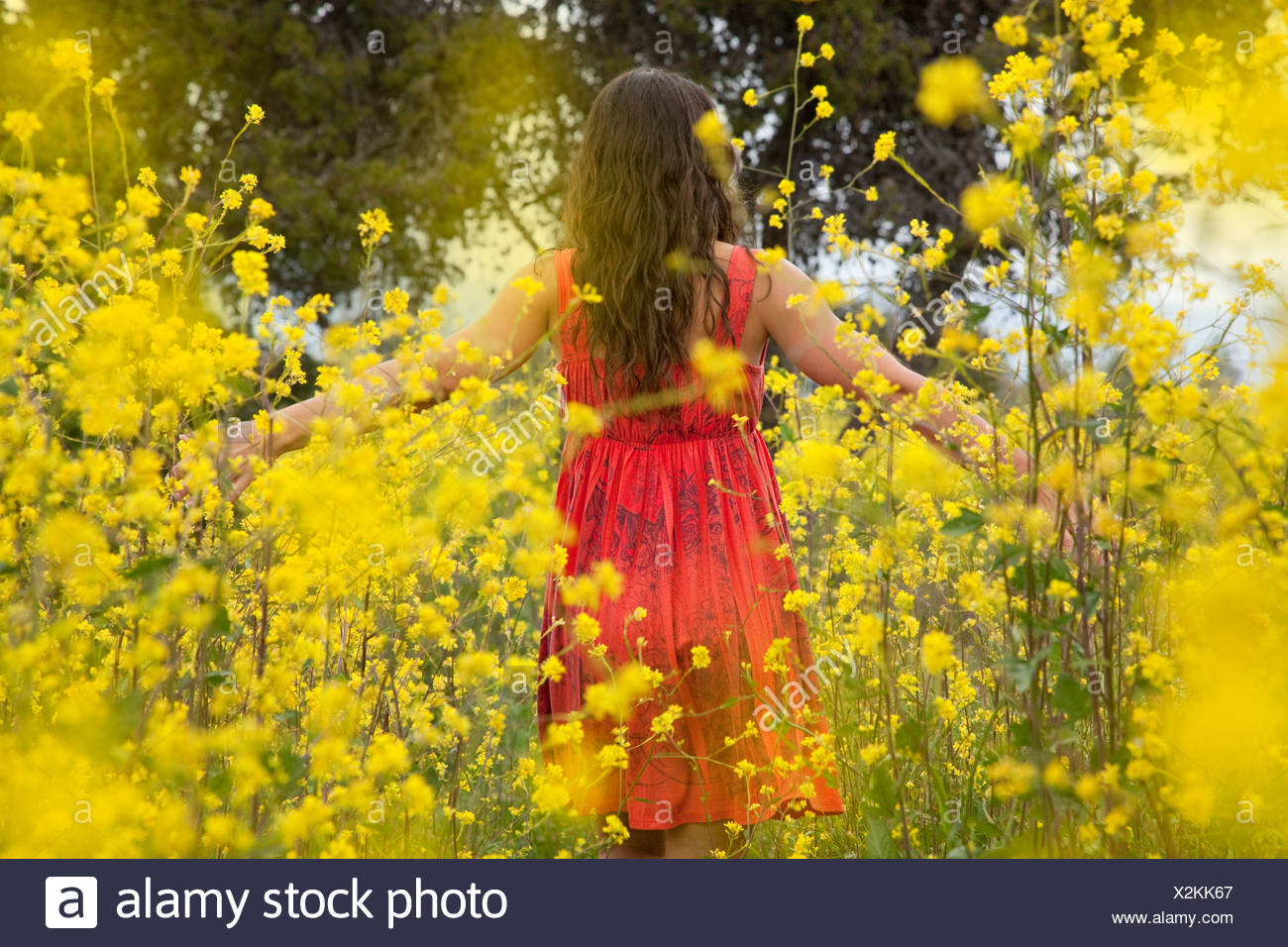 Woman Walking In Field Flowers High Resolution Stock Photography and ...