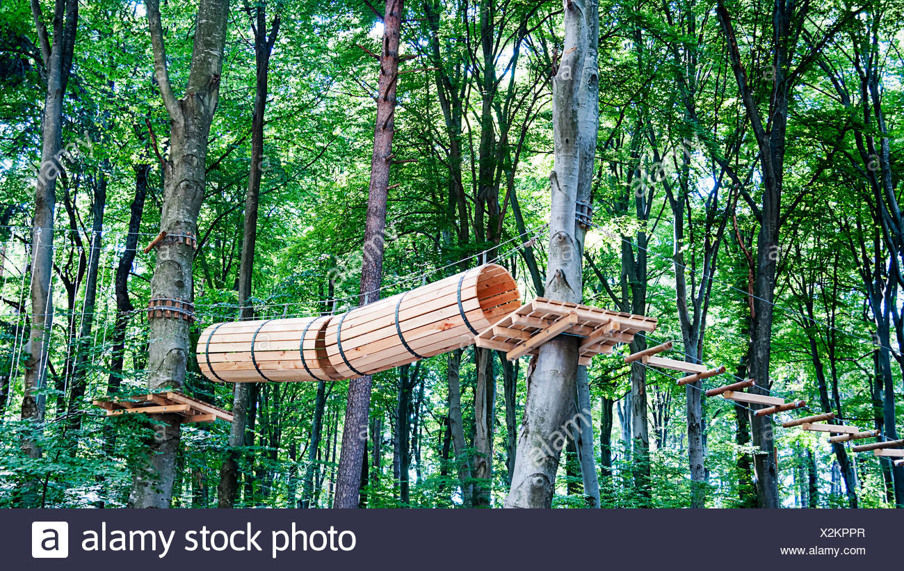 Tree Rope Bridge High Resolution Stock Photography and Images - Alamy