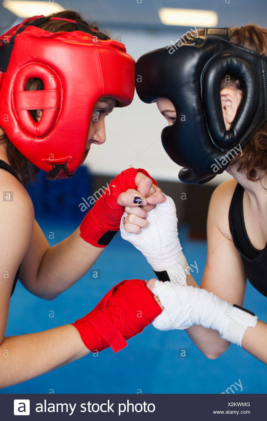 Boxers Face To Face High Resolution Stock Photography and Images - Alamy