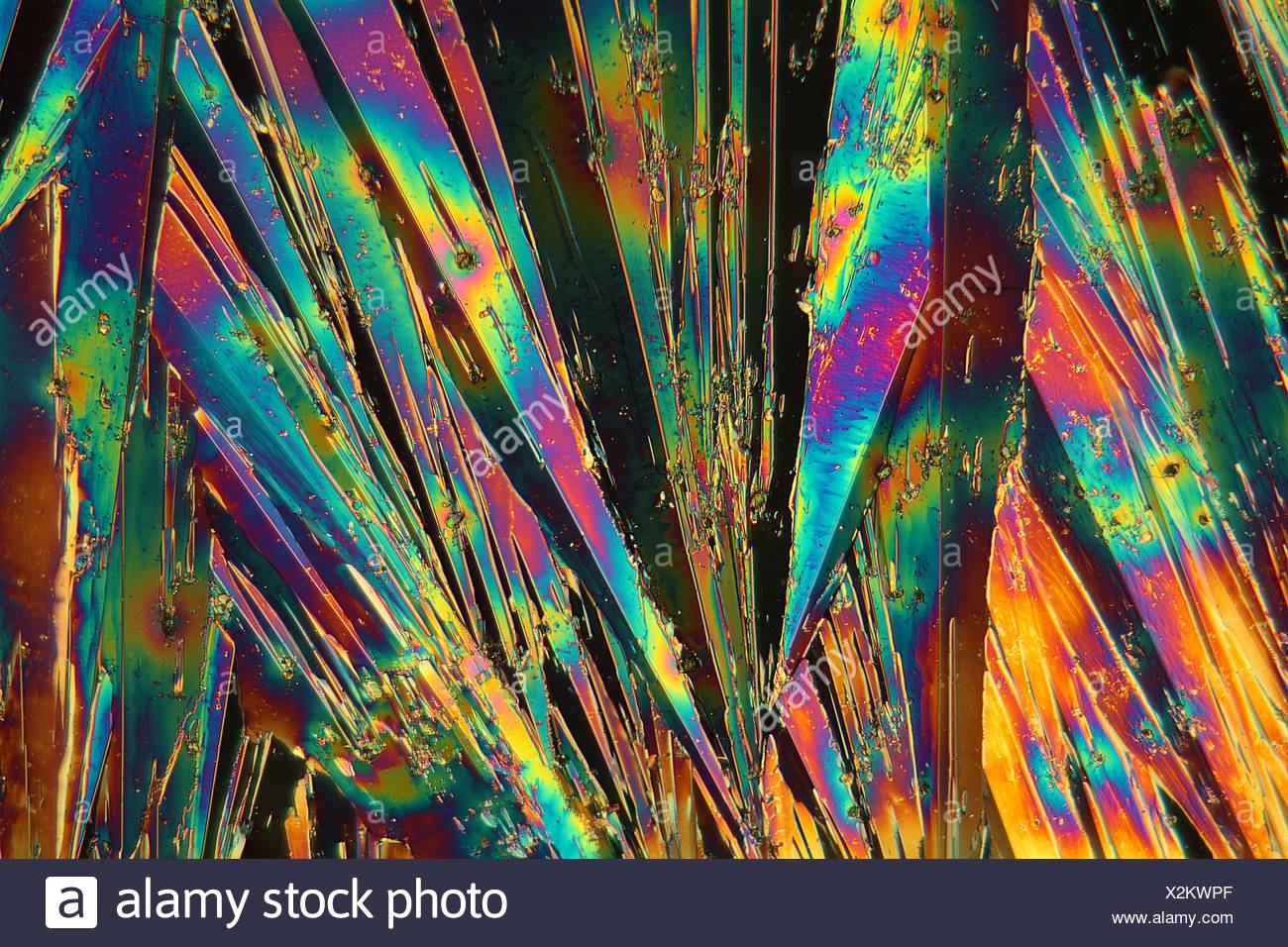 Polarized Light Micrograph High Resolution Stock Photography and Images ...