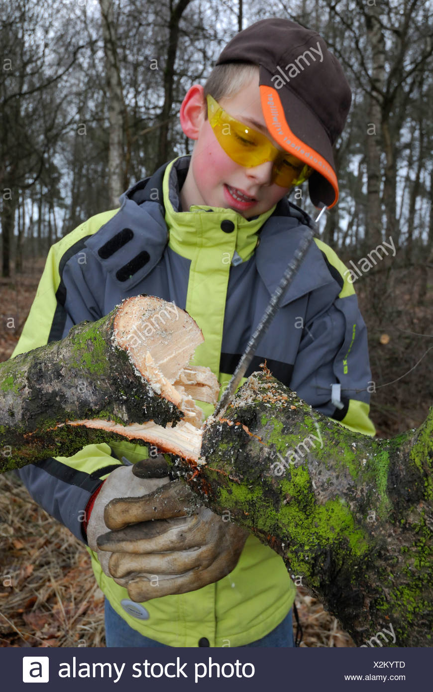 Heideveld High Resolution Stock Photography and Images - Alamy