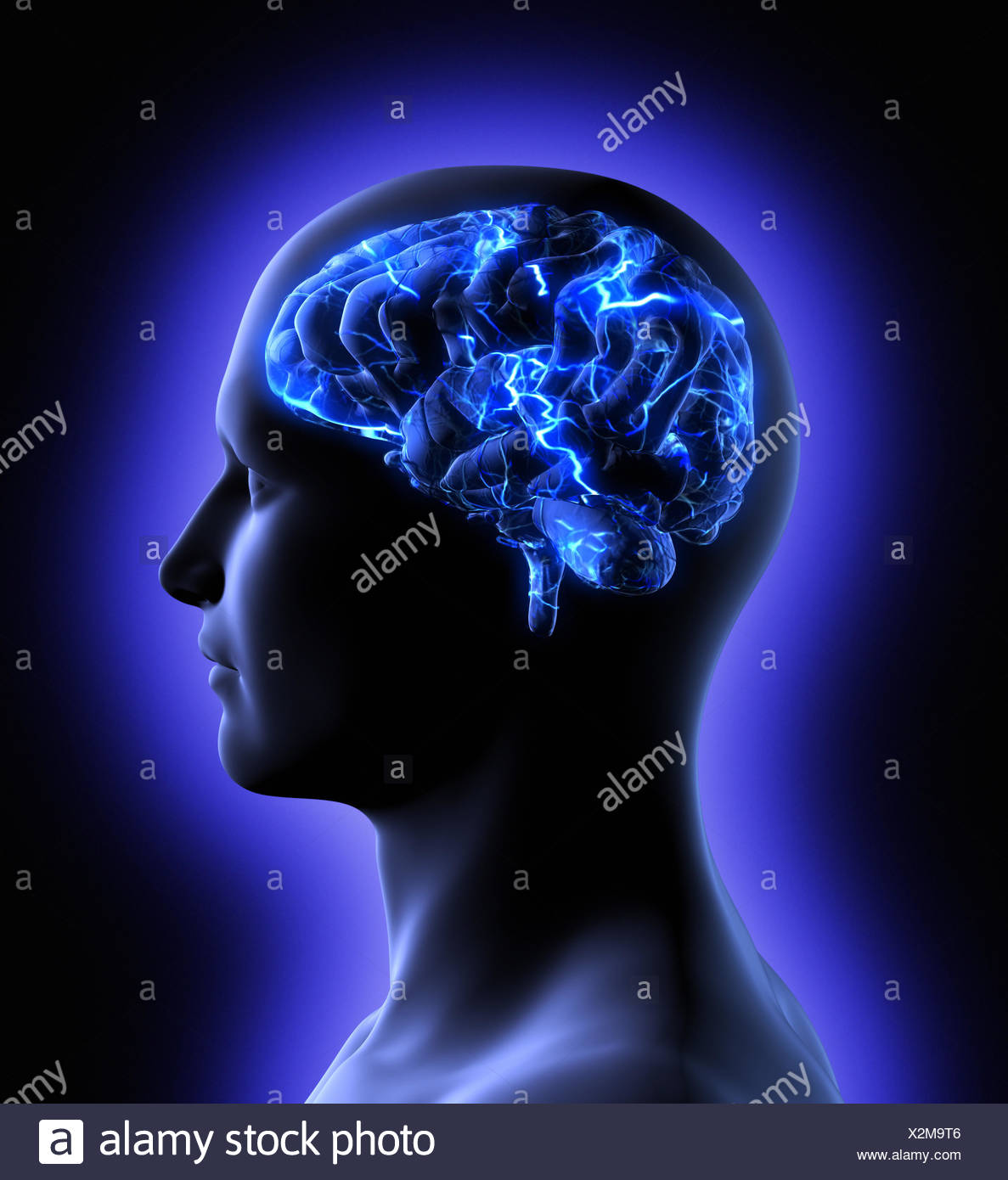 Brain Wave Activity High Resolution Stock Photography and Images - Alamy