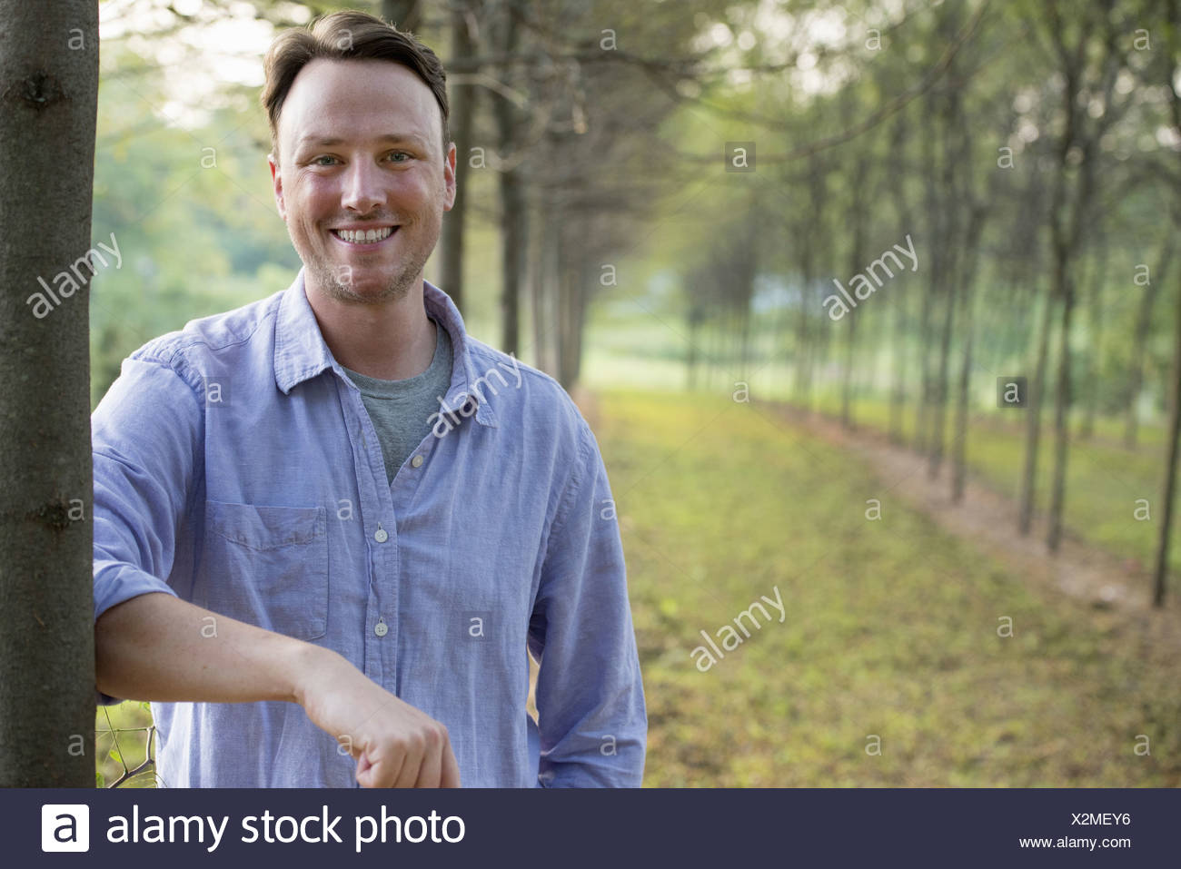 Man Up A Tree High Resolution Stock Photography and Images - Alamy