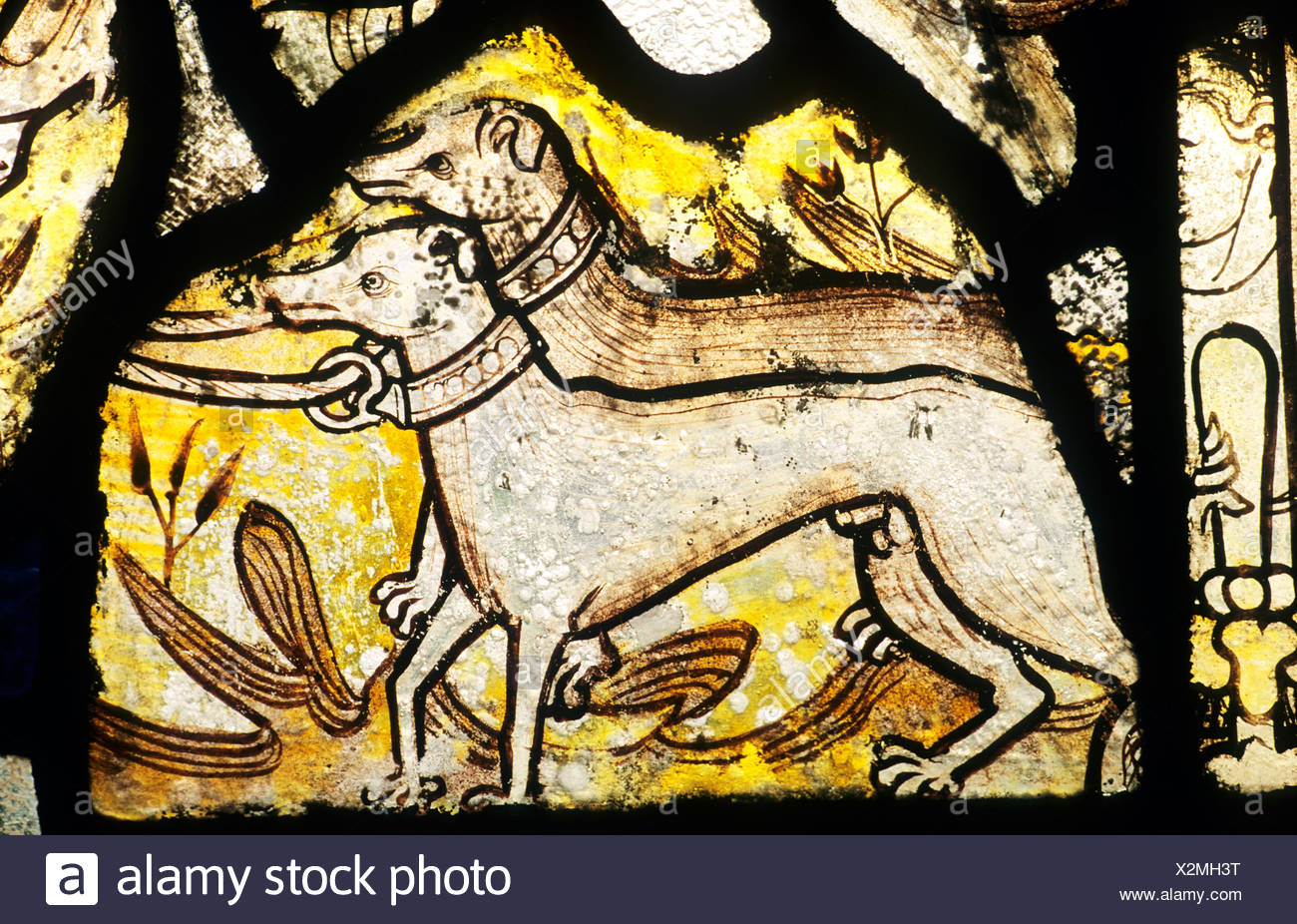 Medieval Hunting Dogs High Resolution Stock Photography and Images - Alamy