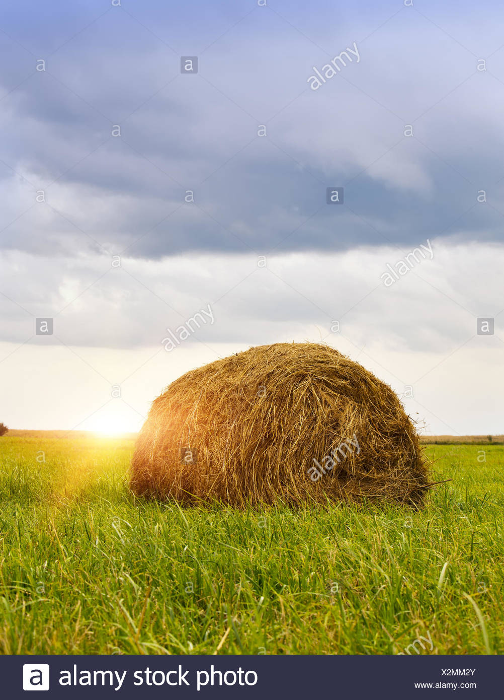 Corn Stacks Stock Photos & Corn Stacks Stock Images - Alamy