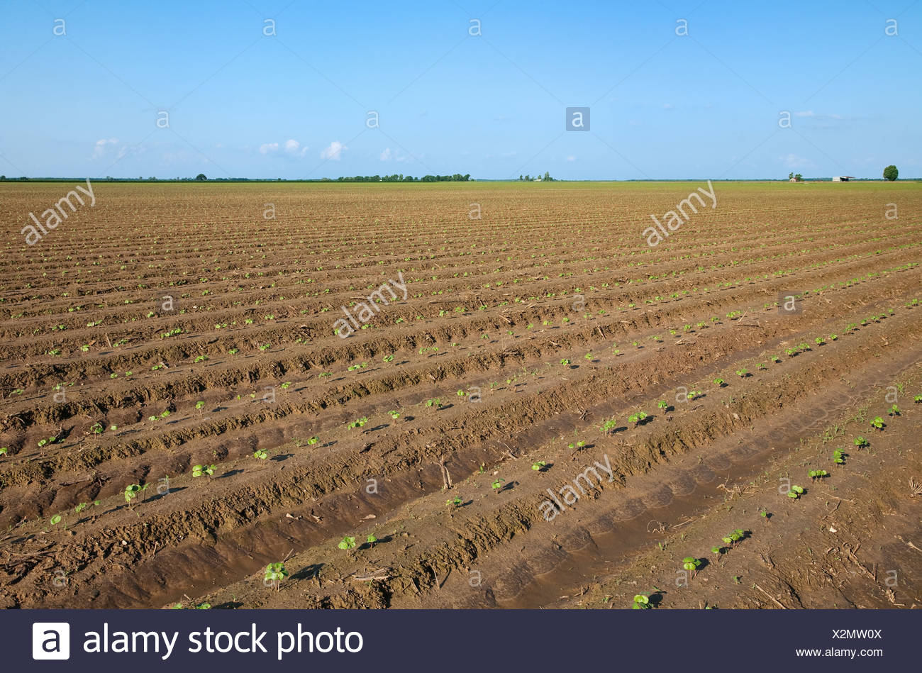 Tilled Land Stock Photos & Tilled Land Stock Images - Alamy