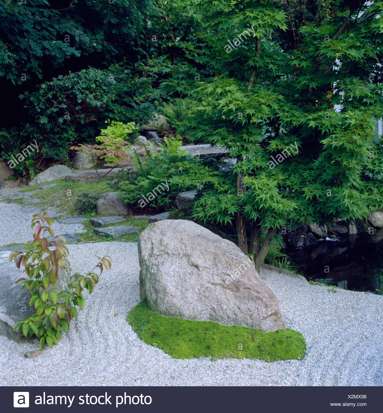 Planted With Moss High Resolution Stock Photography and Images - Alamy