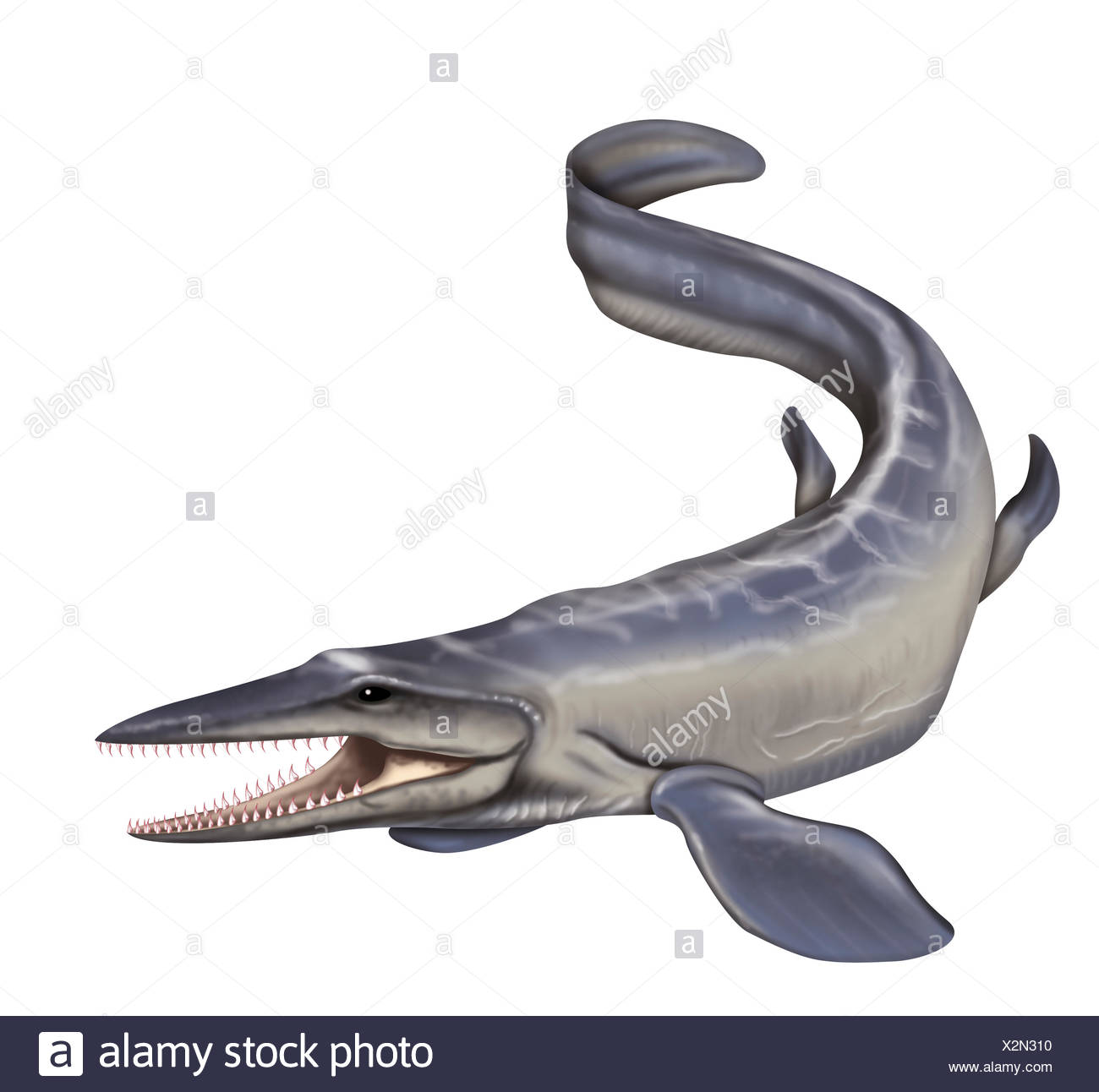 Prehistoric Drawing High Resolution Stock Photography and Images - Alamy