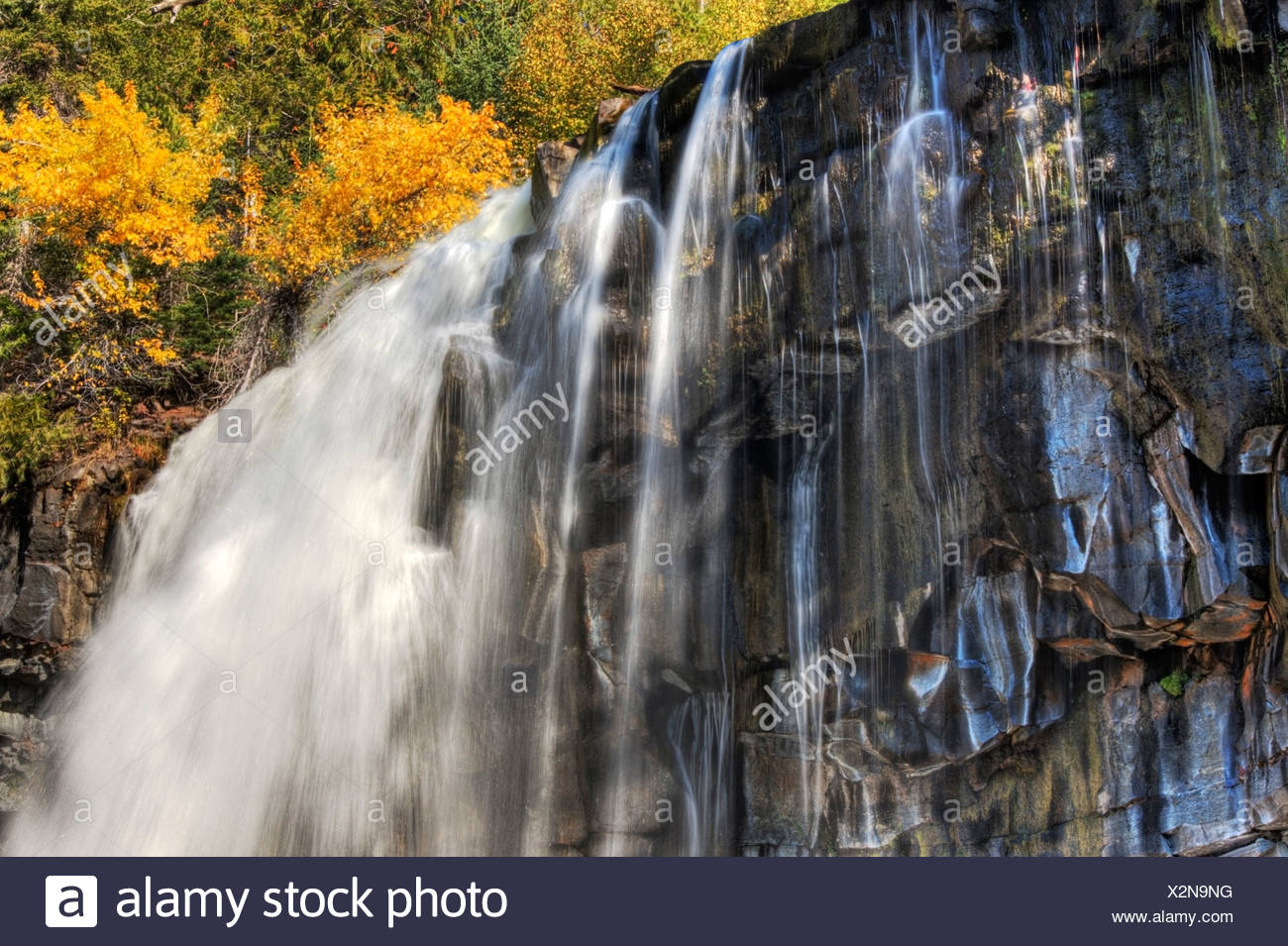 Canim High Resolution Stock Photography and Images - Alamy