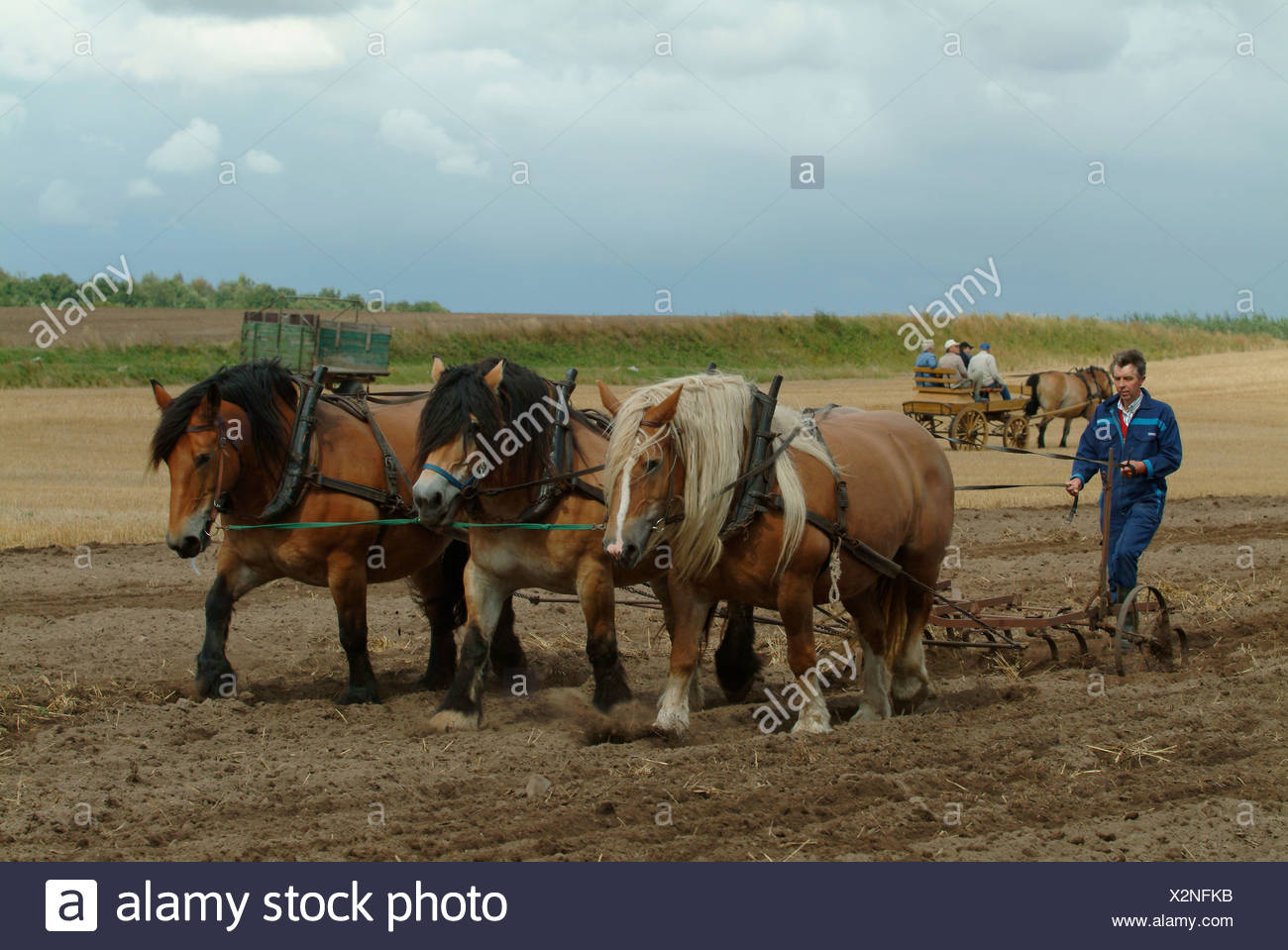 Horse Drawn Plough Stock Photos & Horse Drawn Plough Stock Images - Alamy
