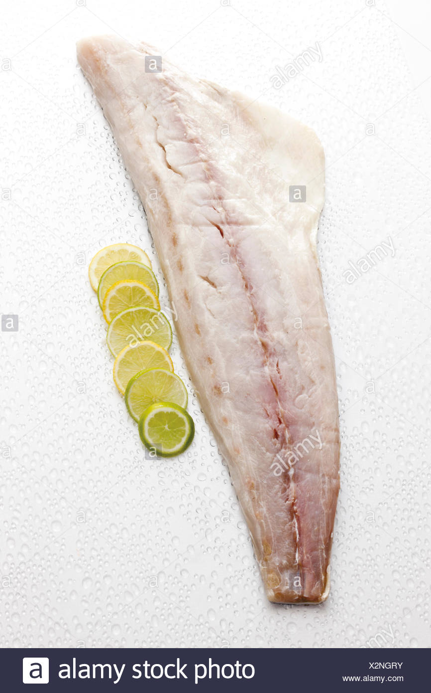 Black Kingfish Stock Photos & Black Kingfish Stock Images - Alamy