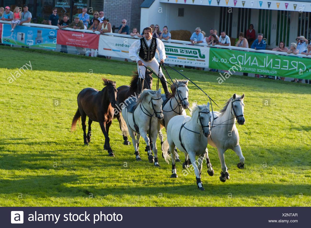 Lorenzo Horse Show High Resolution Stock Photography and Images - Alamy