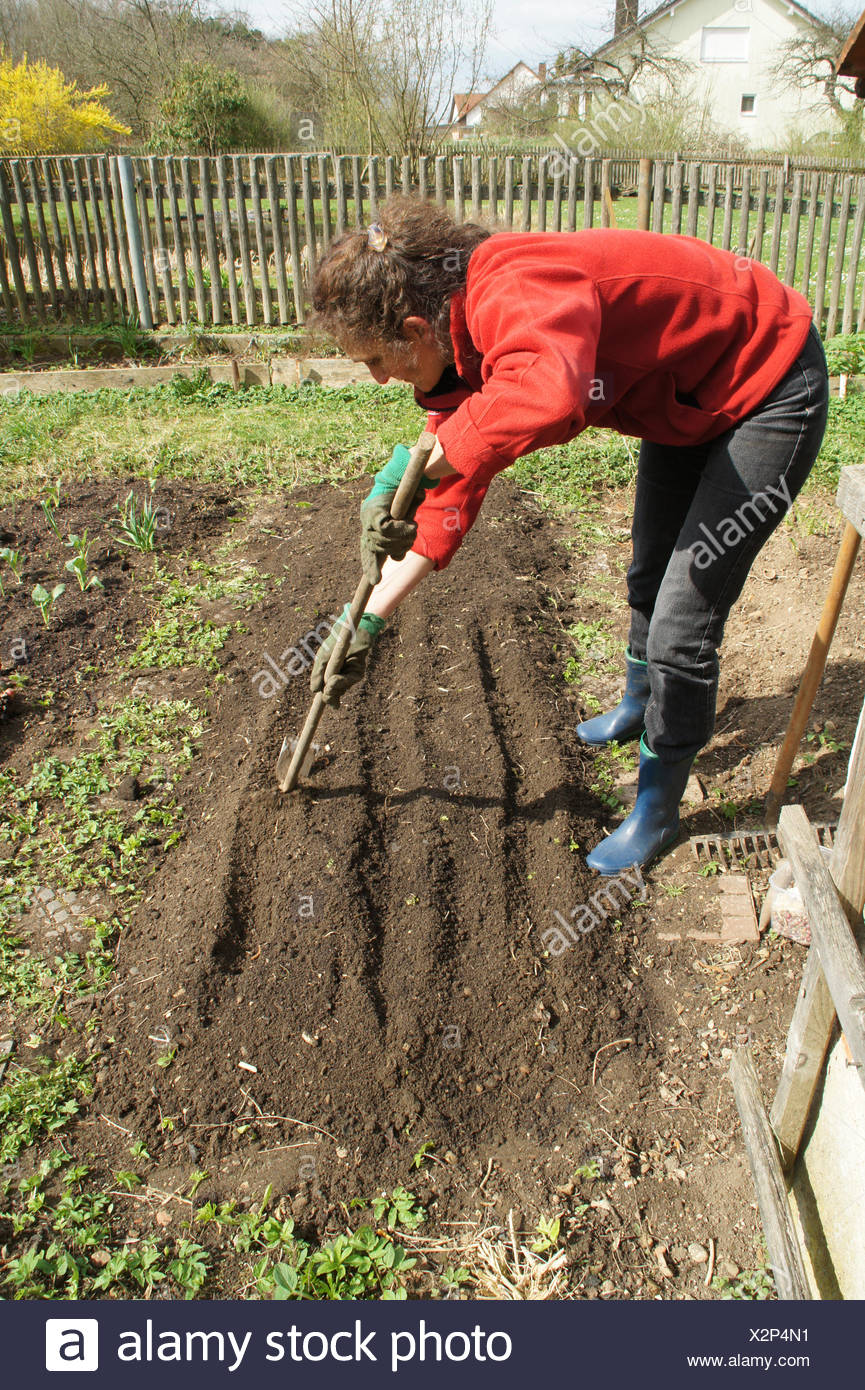 Field Grooves High Resolution Stock Photography and Images - Alamy