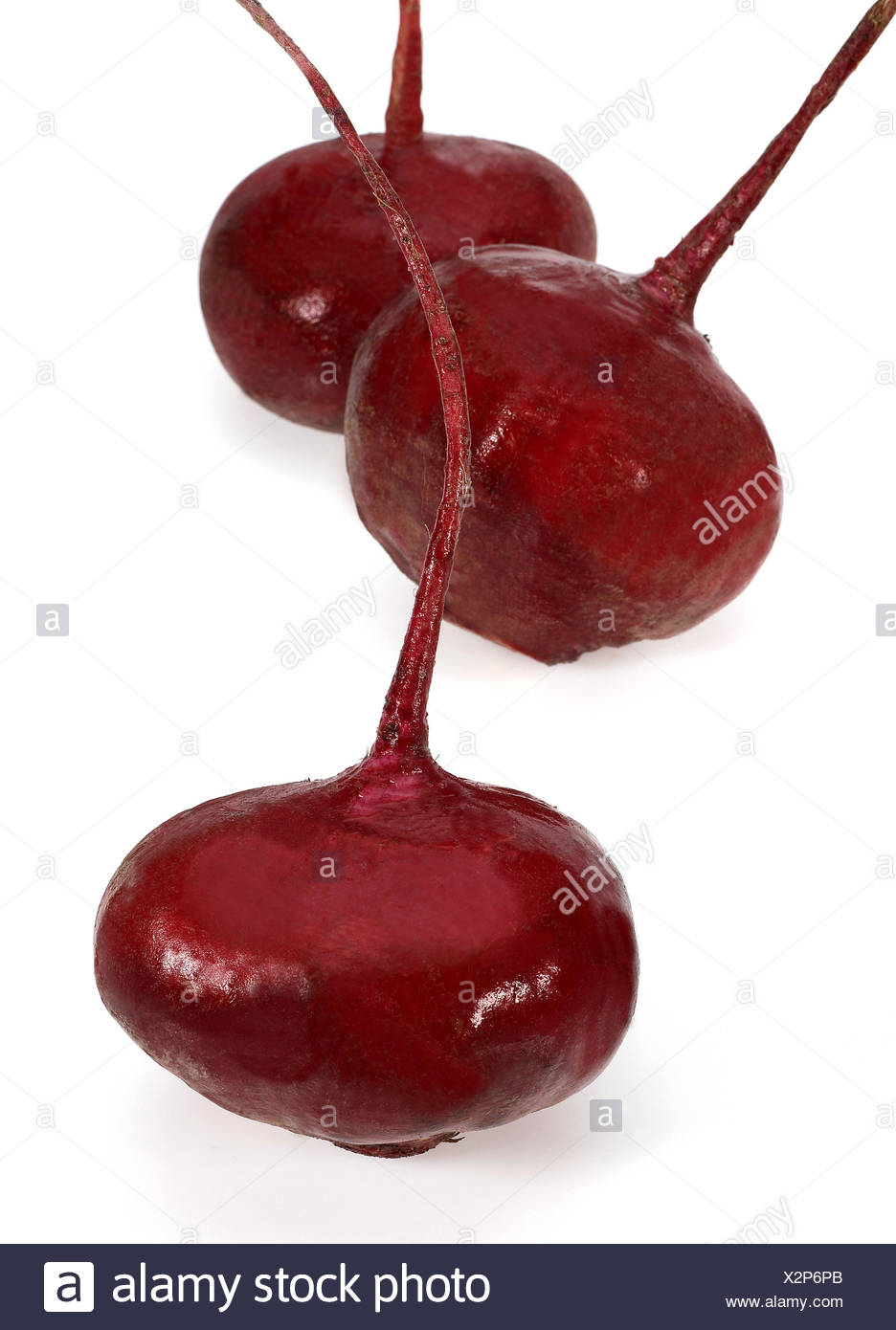 Beta Vulgaris Var Conditiva High Resolution Stock Photography and ...