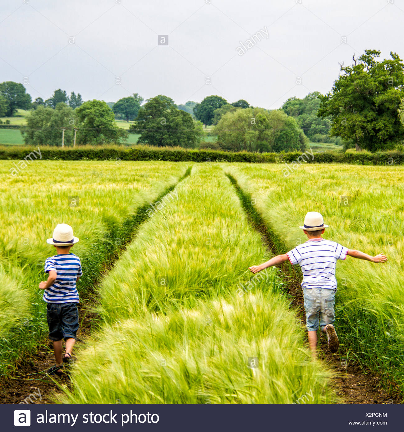 Field Way High Resolution Stock Photography and Images - Alamy