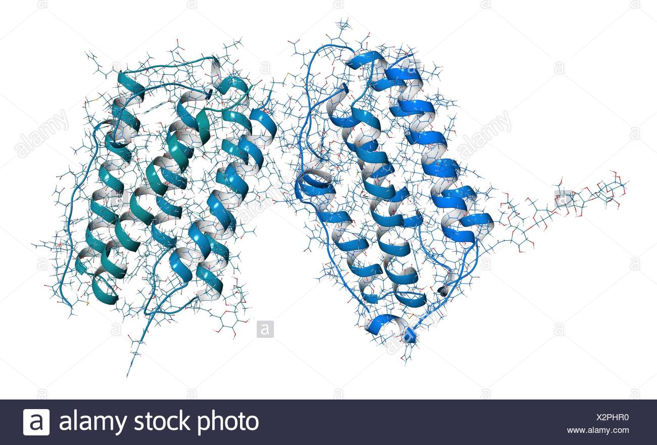 Ifn Beta High Resolution Stock Photography and Images - Alamy