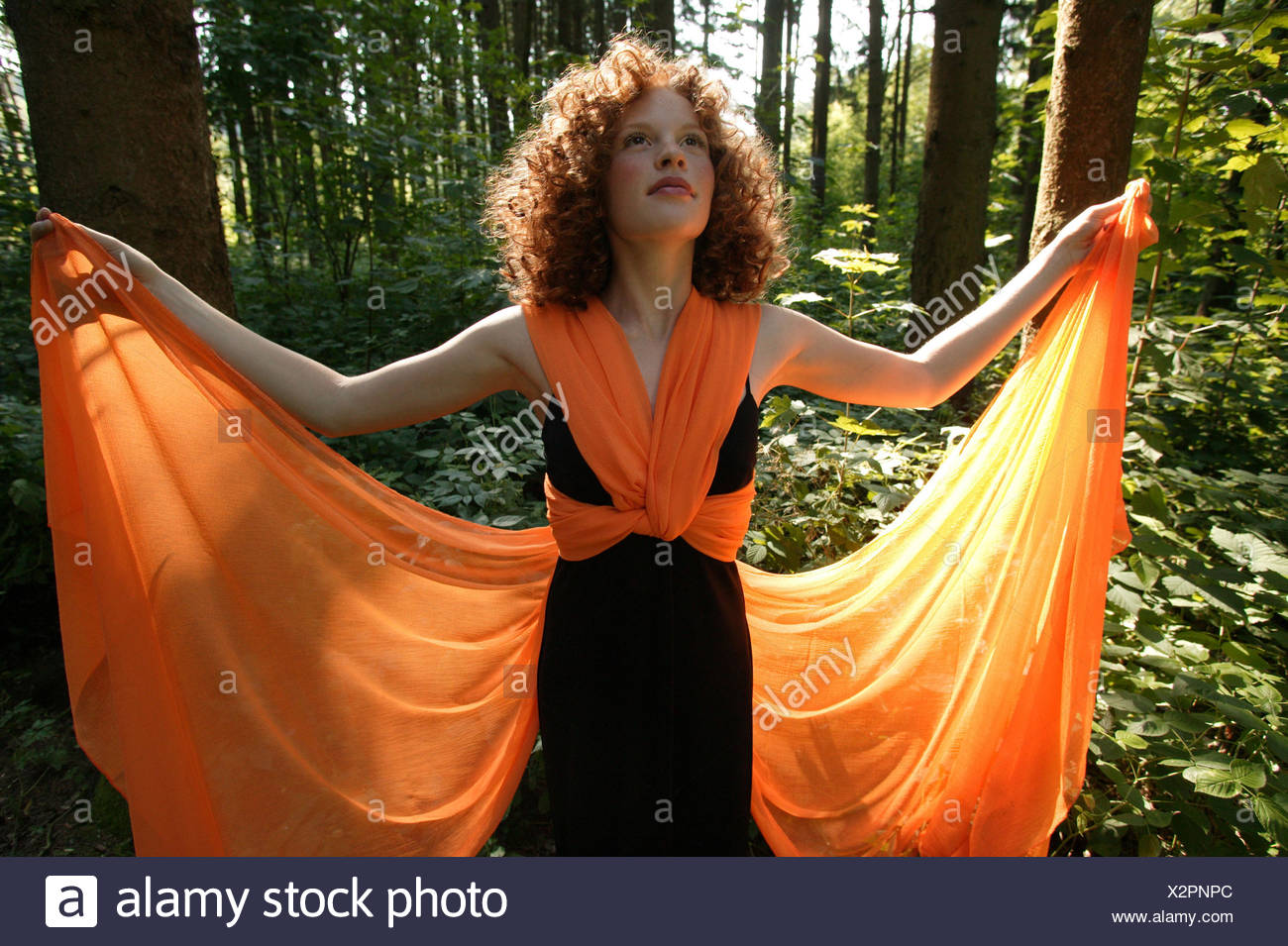 Lucidly High Resolution Stock Photography and Images - Alamy