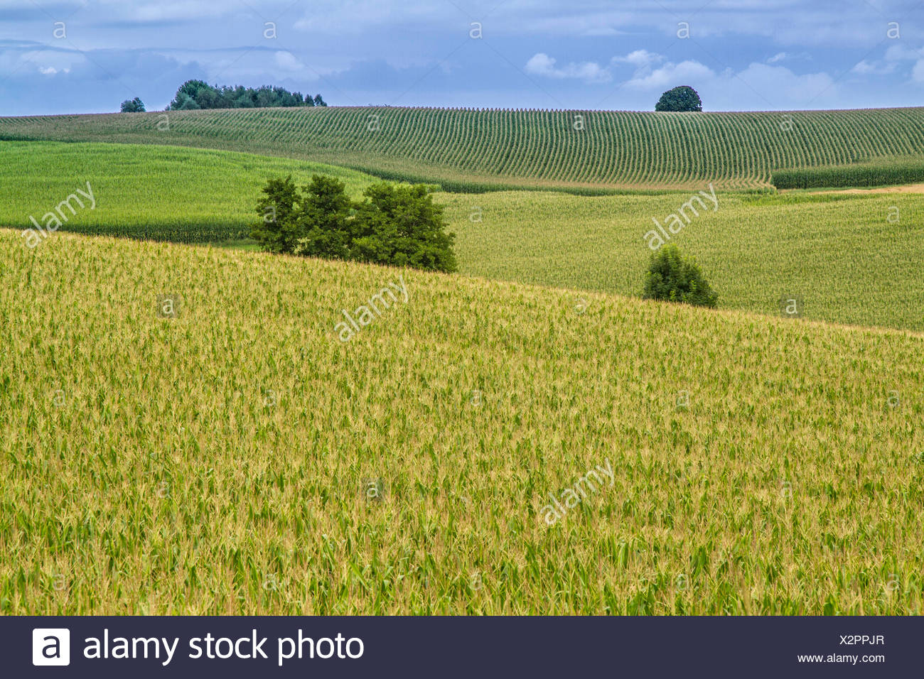 Biomass Plant High Resolution Stock Photography and Images - Alamy