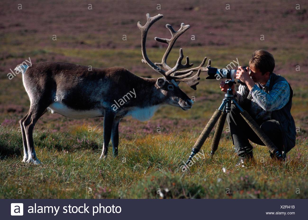 Mark Hamblin High Resolution Stock Photography and Images - Alamy