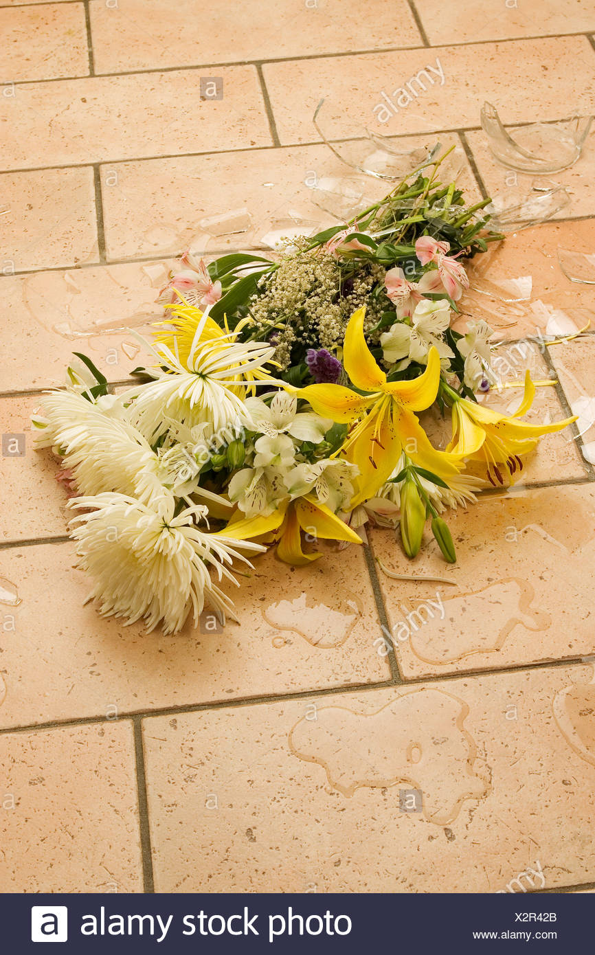 Vase Broken High Resolution Stock Photography and Images - Alamy