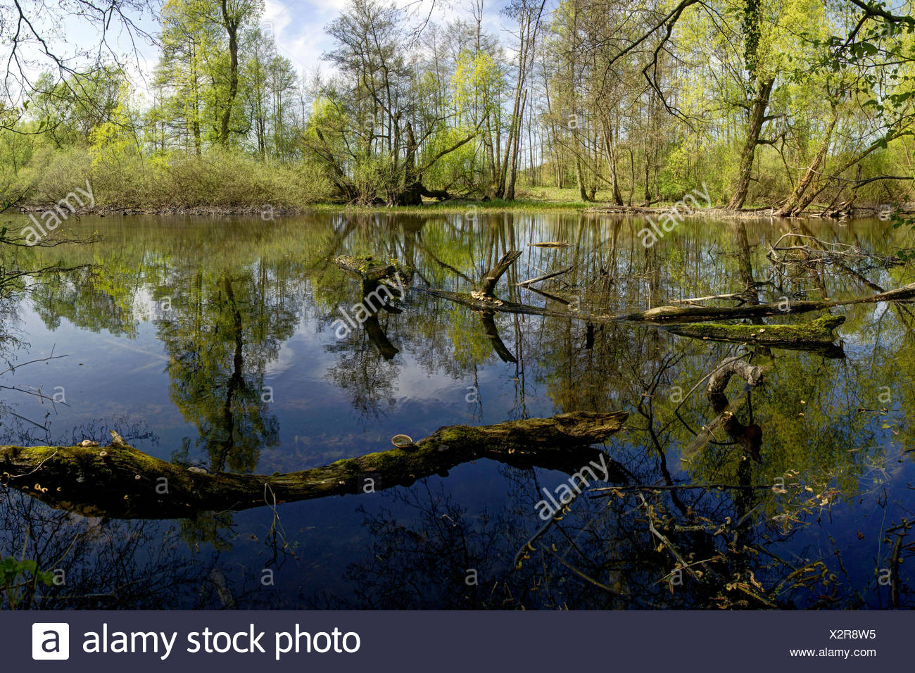 North German Plains High Resolution Stock Photography and Images - Alamy