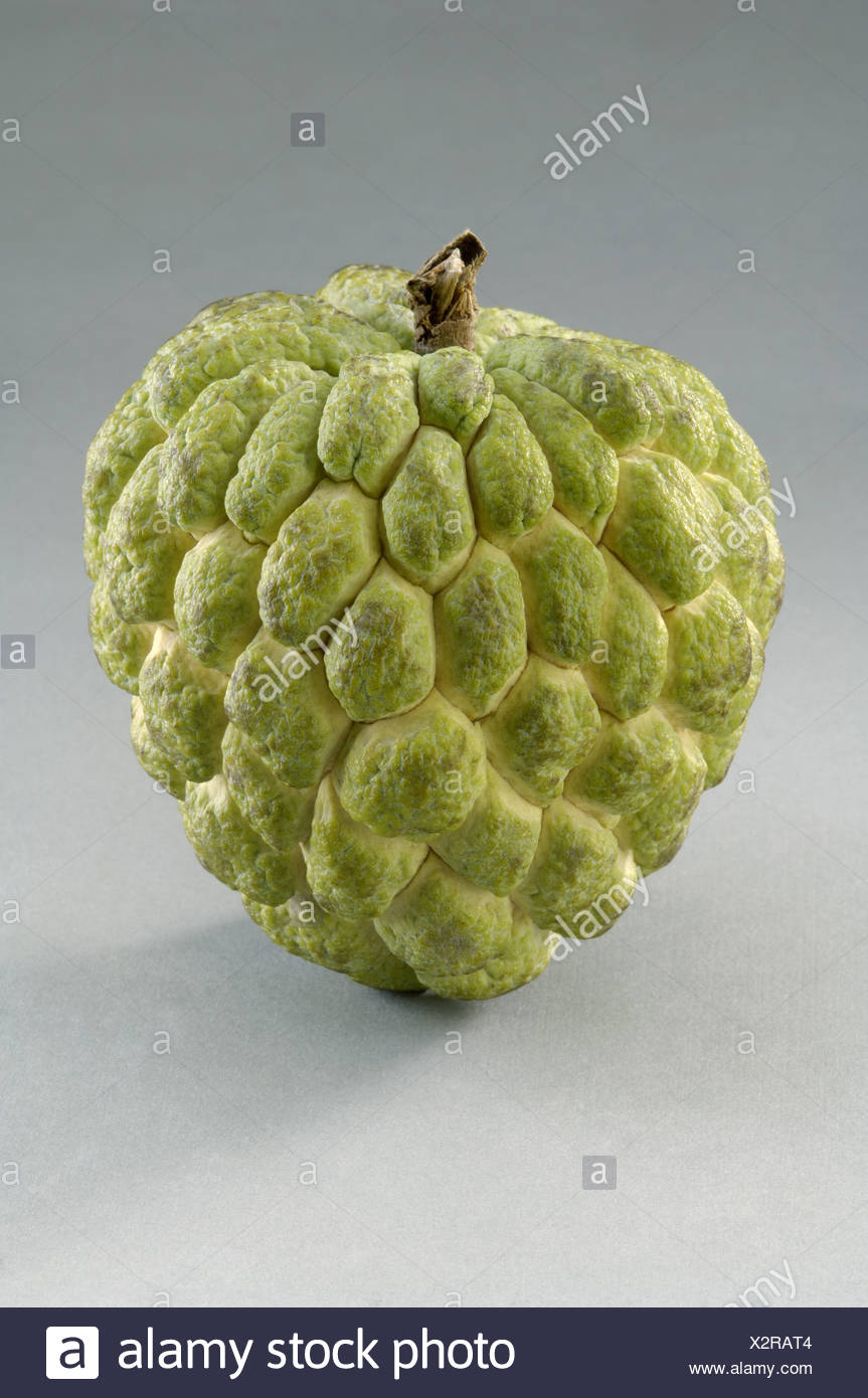 Annona Squamosa Stock Photos & Annona Squamosa Stock Images - Alamy