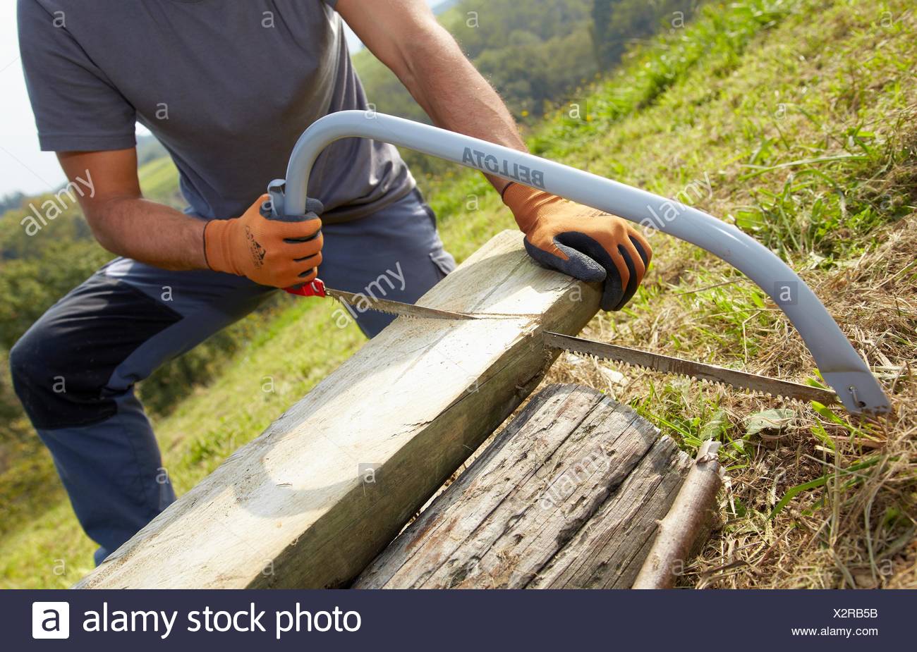 Bow Saw High Resolution Stock Photography and Images - Alamy