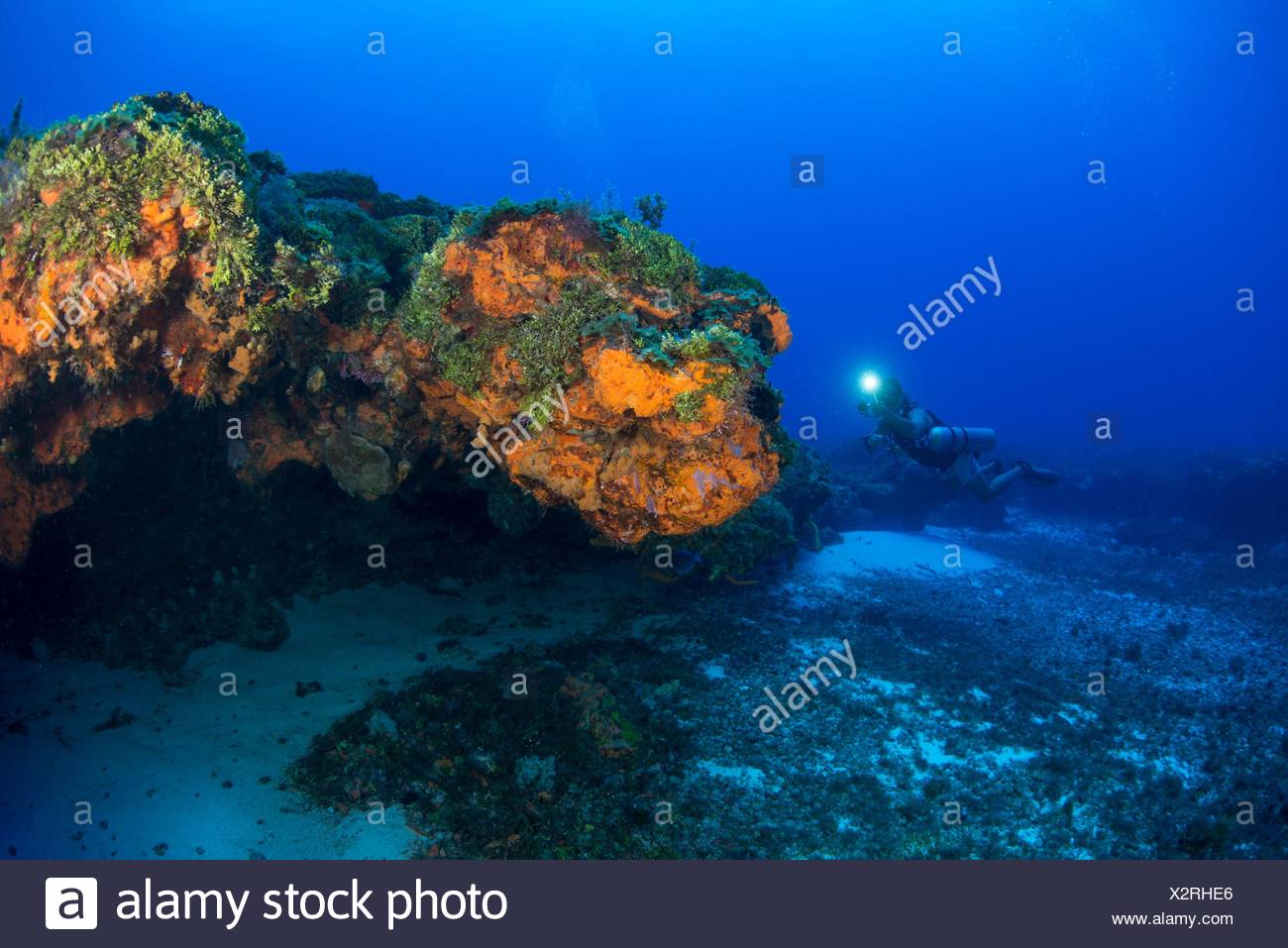 Underwater Breathing Apparatus High Resolution Stock Photography and ...