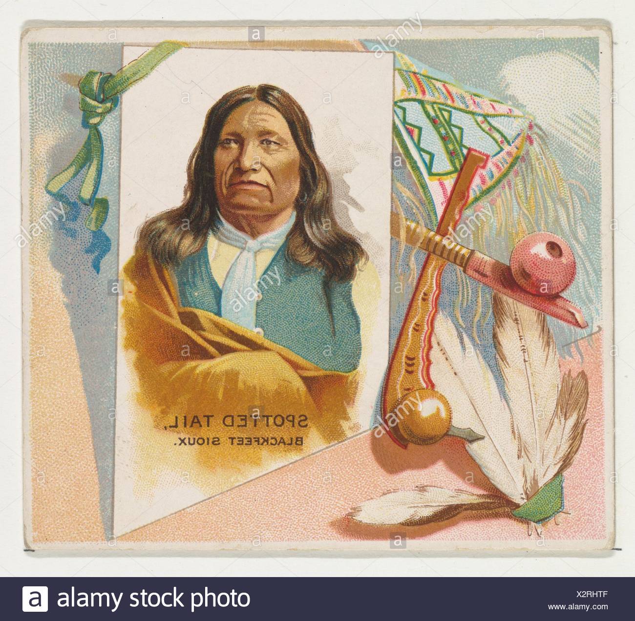 Spotted Tail High Resolution Stock Photography and Images - Alamy