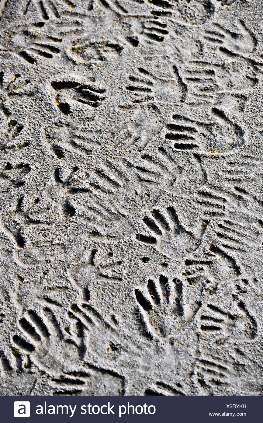 Stone Imprints High Resolution Stock Photography and Images - Alamy