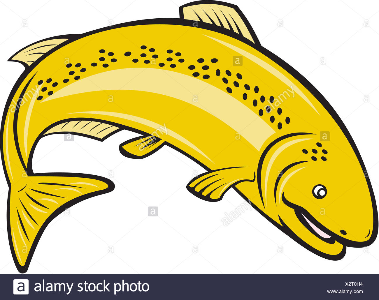 Rainbow Trout Jumping High Resolution Stock Photography and Images - Alamy