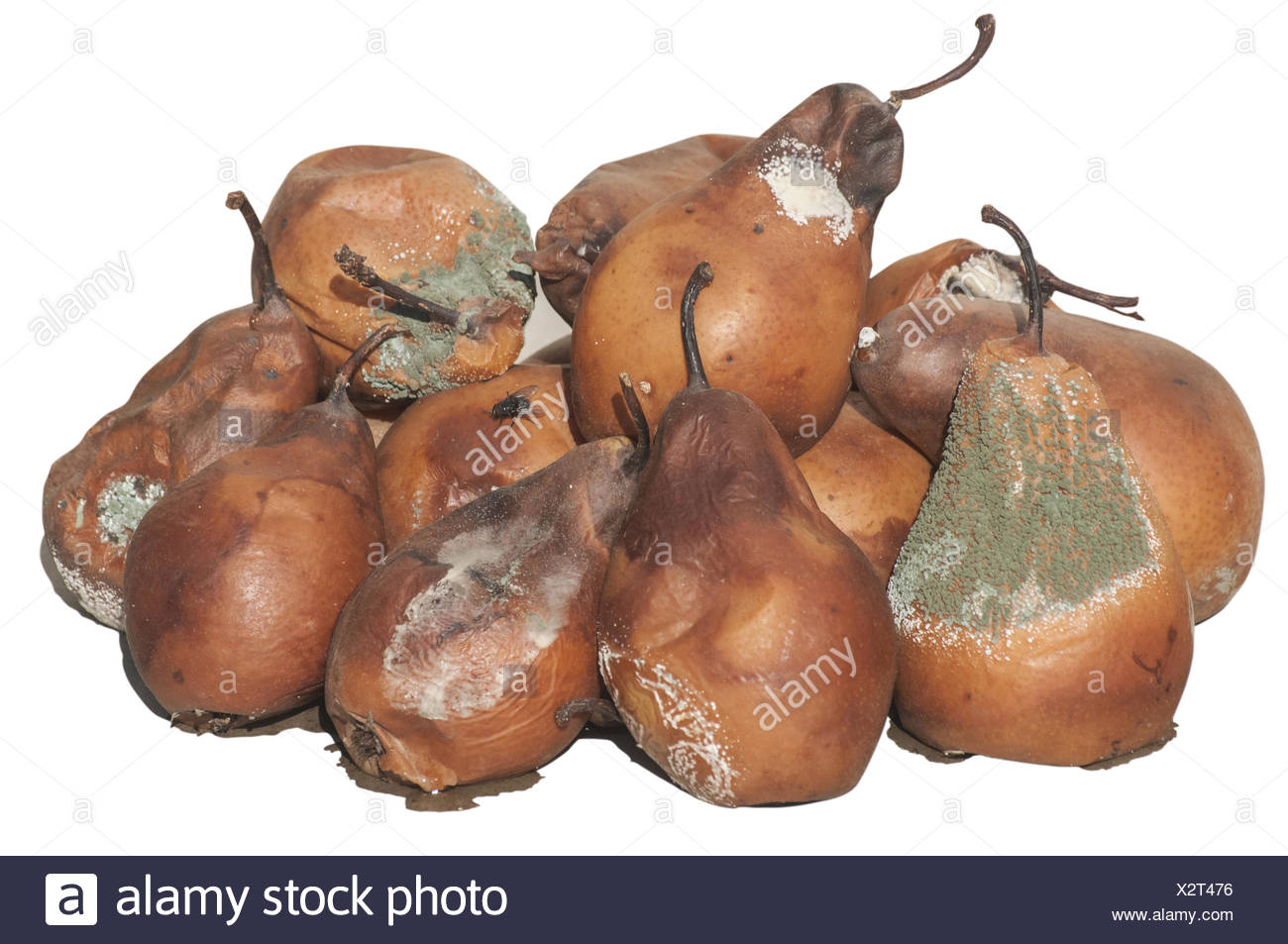 Rotting Pears High Resolution Stock Photography and Images - Alamy