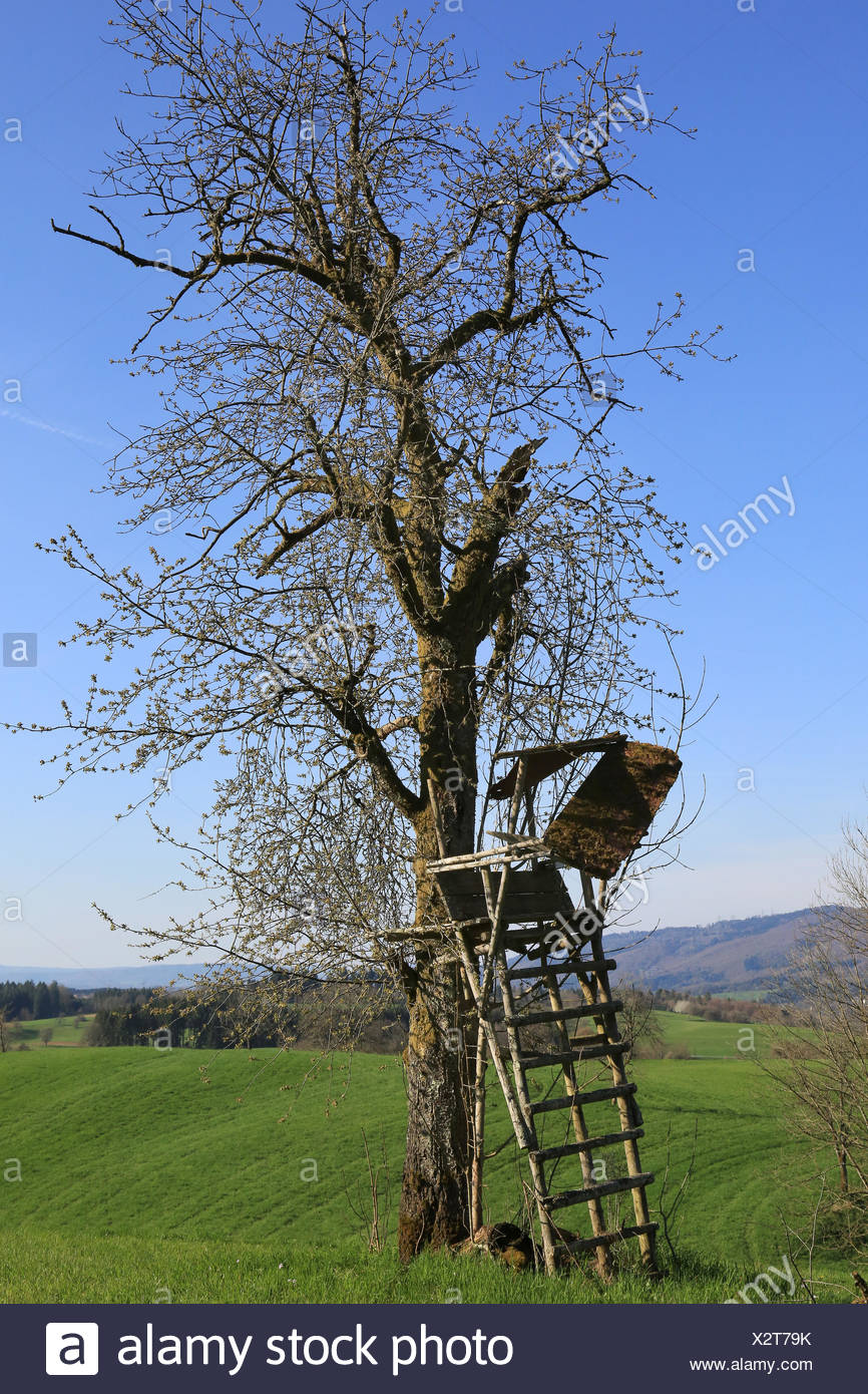 Jagdrevier High Resolution Stock Photography and Images - Alamy