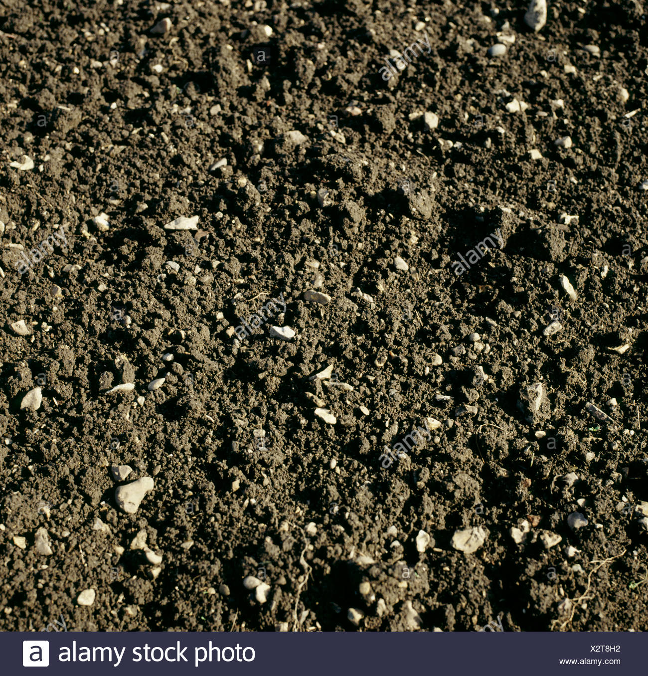 Loam Soil High Resolution Stock Photography and Images - Alamy