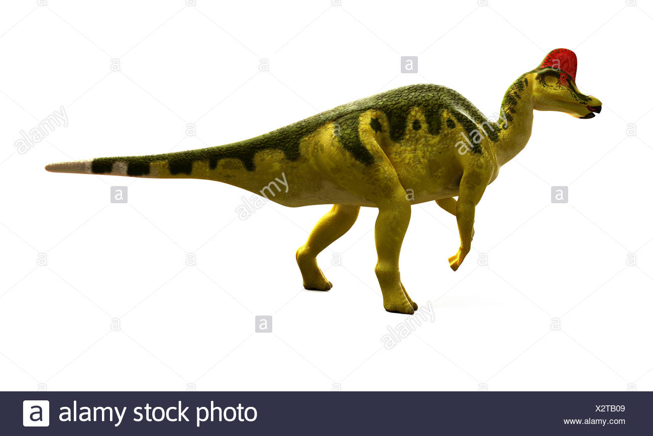 Hadrosaurus High Resolution Stock Photography and Images - Alamy
