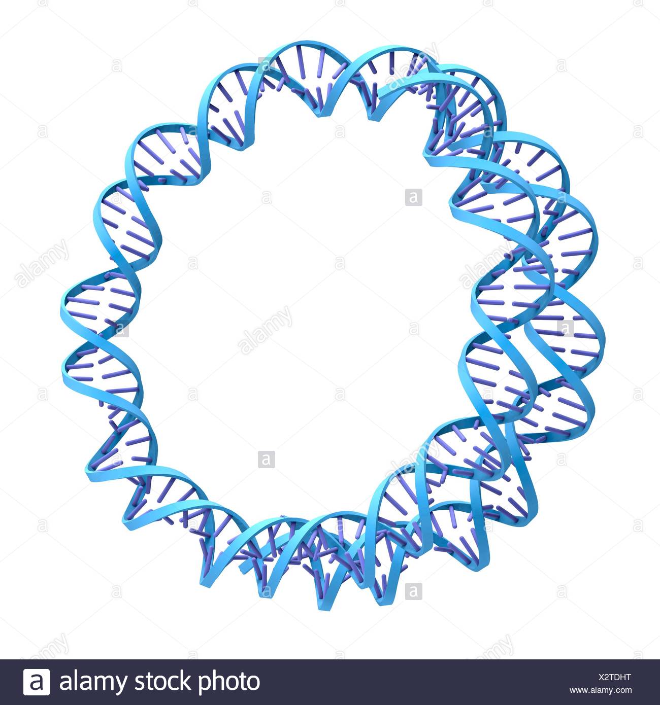 Circular Dna Molecule High Resolution Stock Photography and Images - Alamy