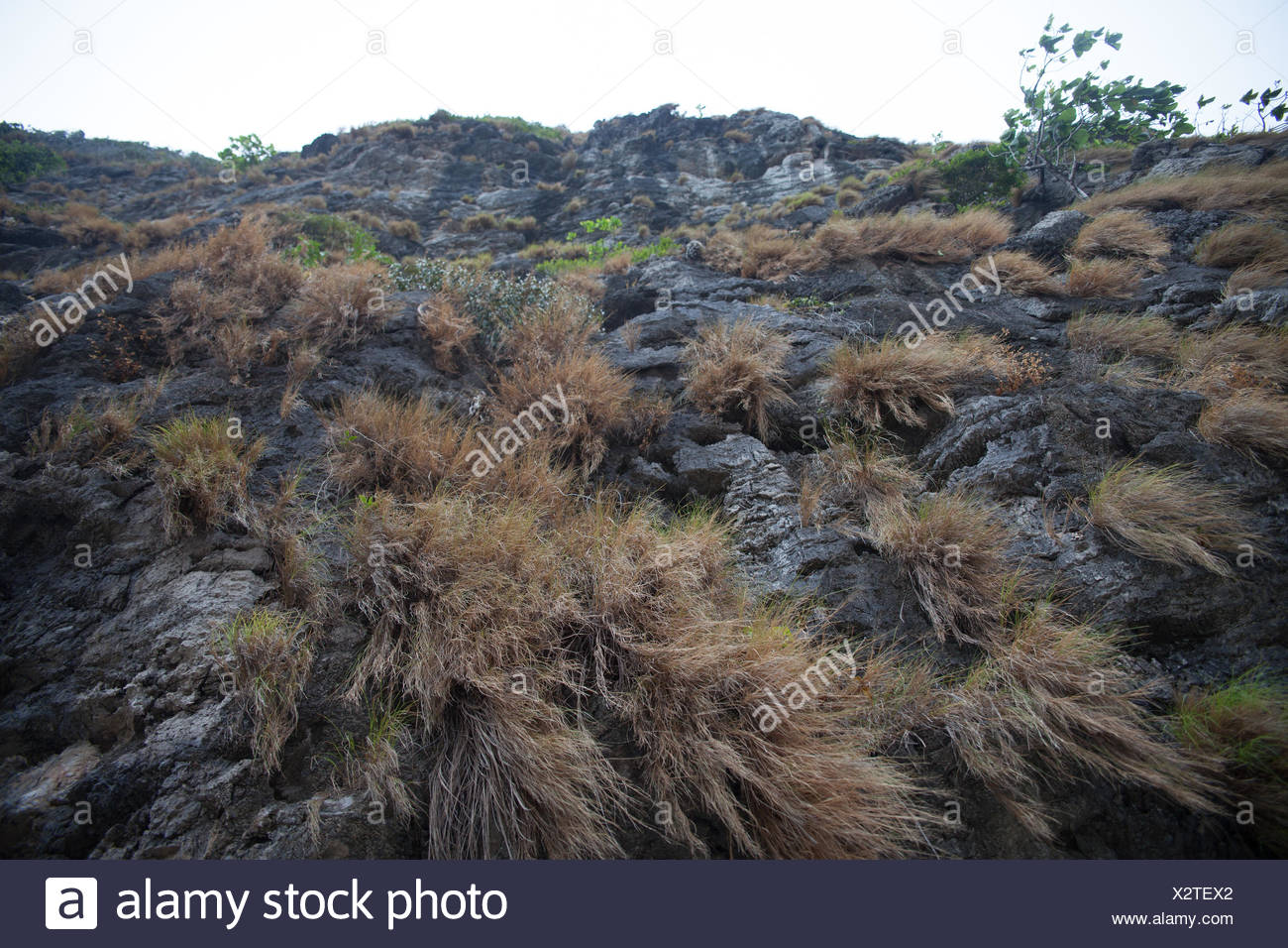 Grass Slope Stock Photos & Grass Slope Stock Images - Alamy