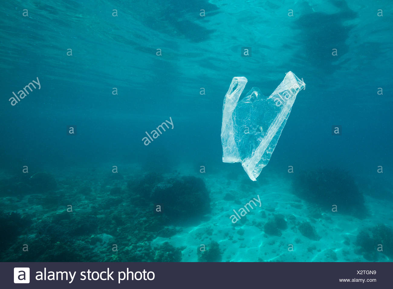 Plastic Bag Pollution Stock Photos & Plastic Bag Pollution Stock Images ...