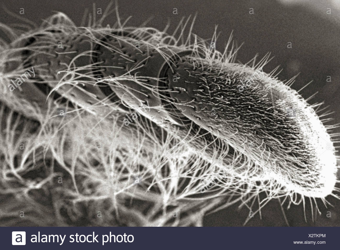 Funicle High Resolution Stock Photography and Images - Alamy