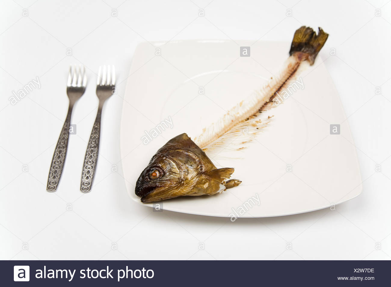 Skeleton Of Salmon High Resolution Stock Photography and Images - Alamy
