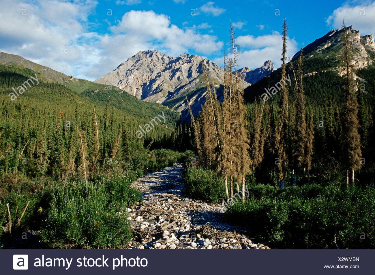 Brooks Range High Resolution Stock Photography and Images - Alamy