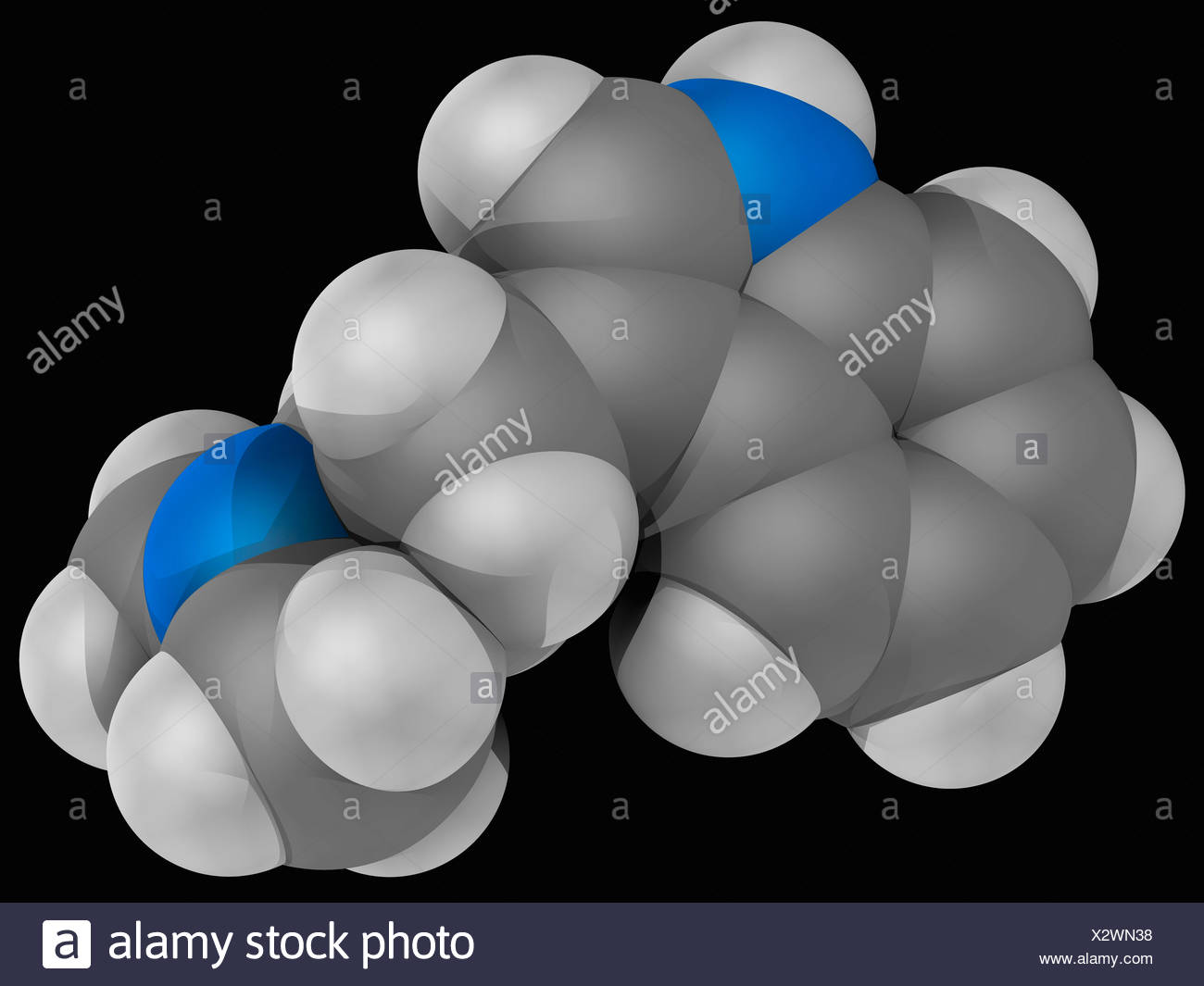 Dmt Molecular Model Stock Photos & Dmt Molecular Model Stock Images - Alamy