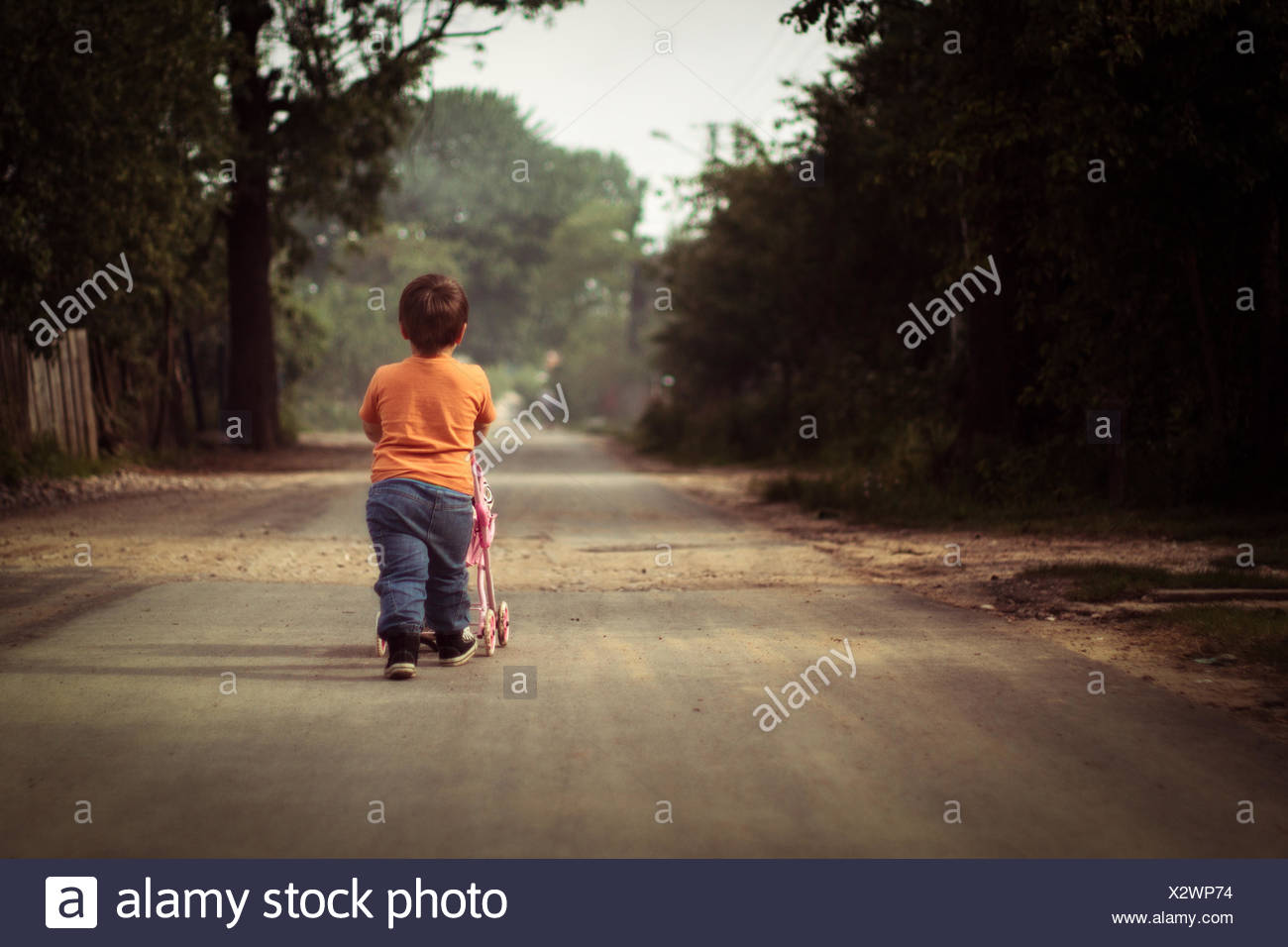Full Cart High Resolution Stock Photography and Images - Alamy