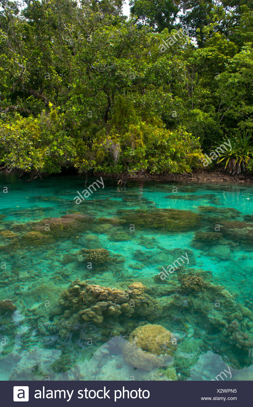 Marovo Lagoon Stock Photos & Marovo Lagoon Stock Images - Alamy
