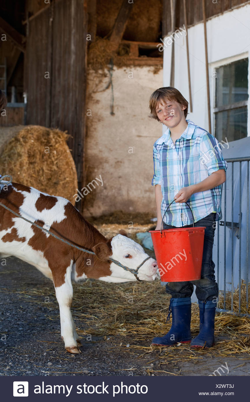 Calf Barn High Resolution Stock Photography and Images - Alamy