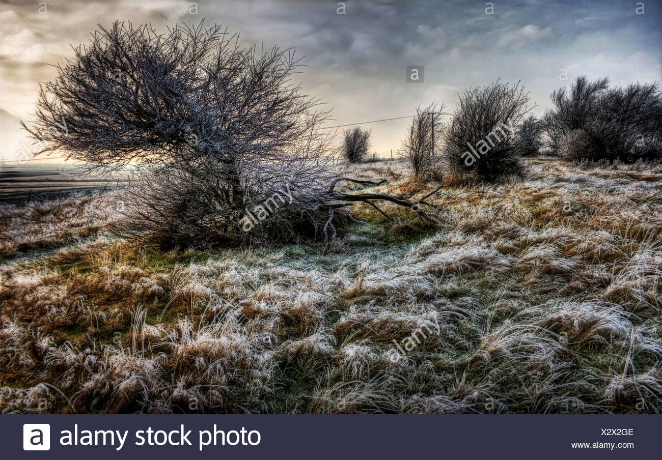 Kent Countryside Uk Winter High Resolution Stock Photography and Images ...