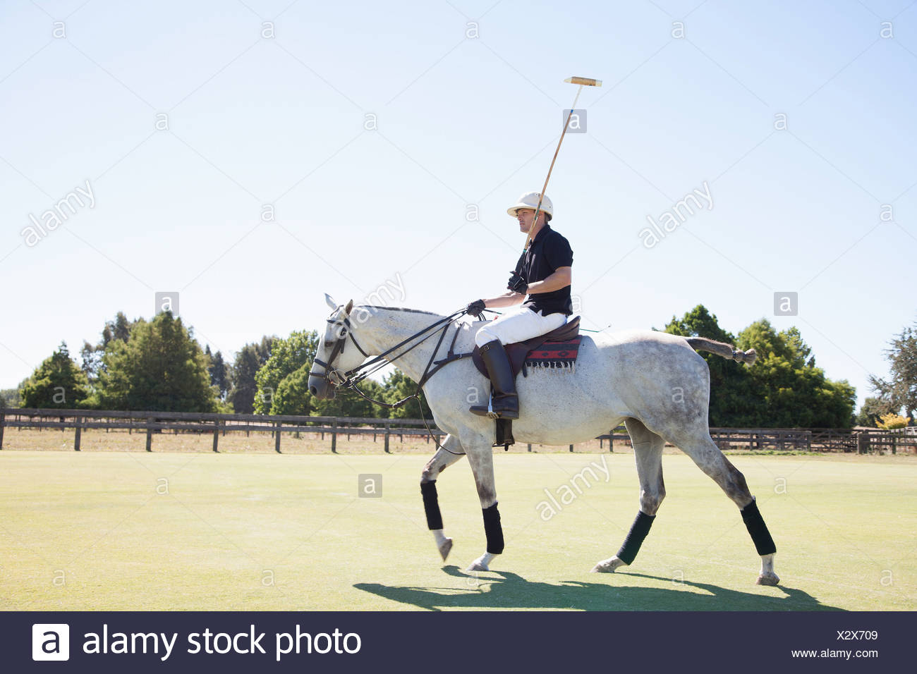 Polo Shirt High Resolution Stock Photography and Images - Alamy