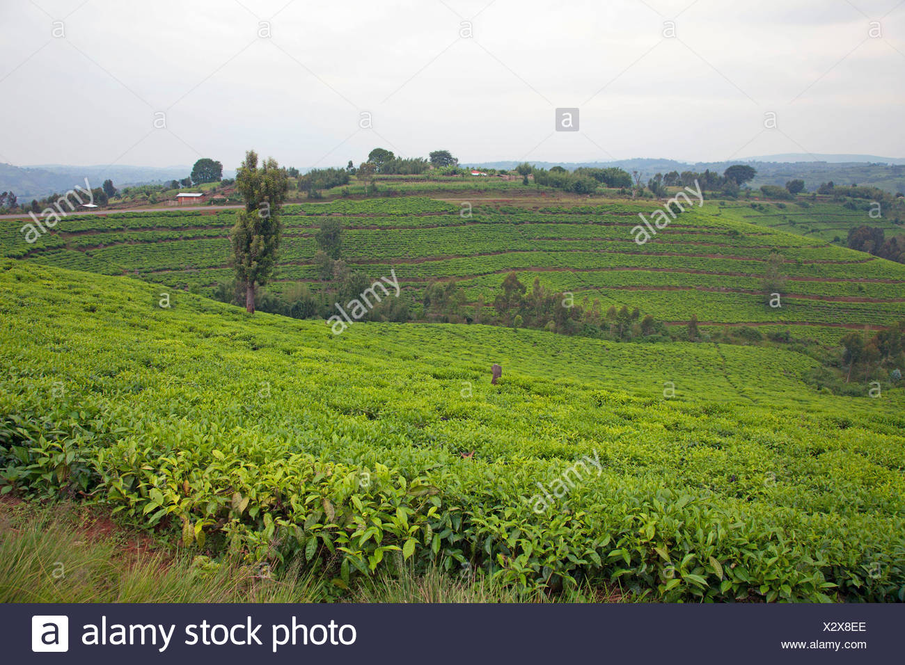 Burundi Landscape High Resolution Stock Photography and Images - Alamy